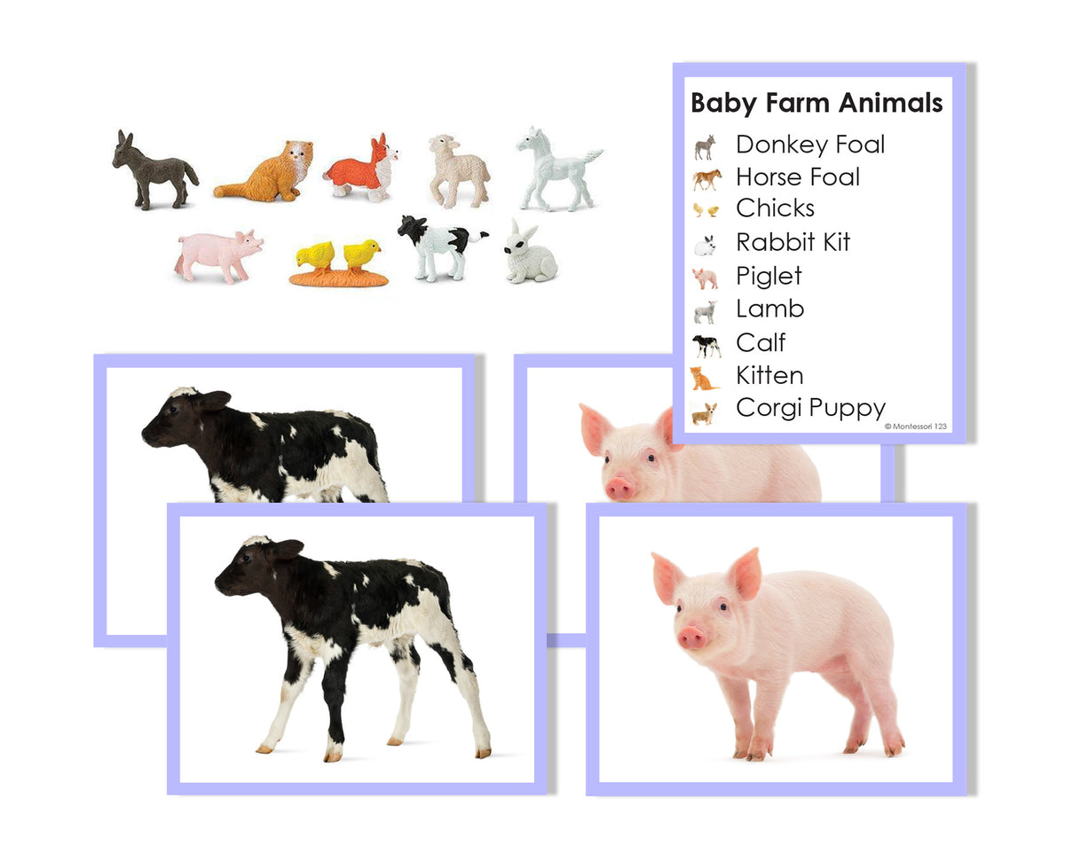 Baby Farm Animals Toddler — Montessori 123