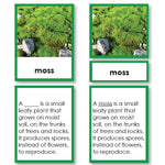 Parts of a Moss Cards & Definitions | Montessori123 | Lower Elementary ...