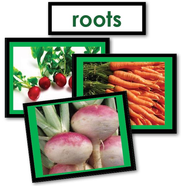 Plant Parts We Eat Sorting Cards | Montessori123 | Botany-Sorting Sets ...