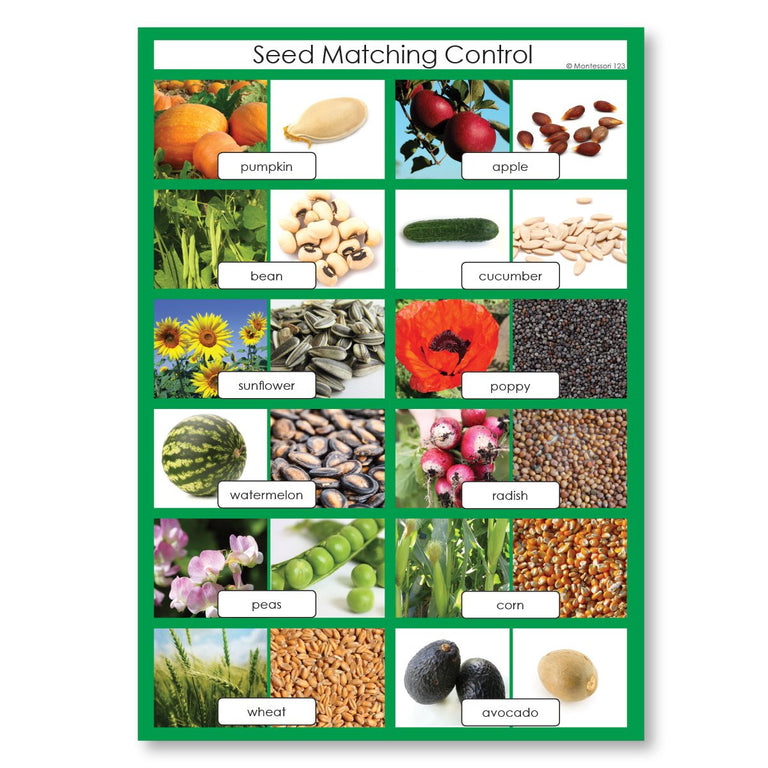Primary | Montessori123 | Learning Cards — Montessori 123