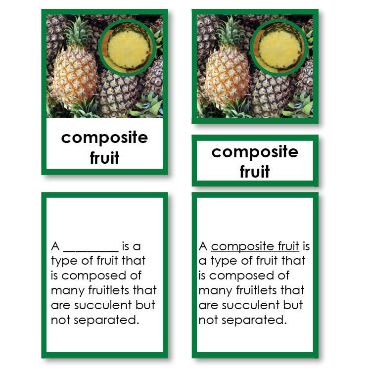 Types of Fruit 3-Part Cards with Definitions | Montessori123 ...