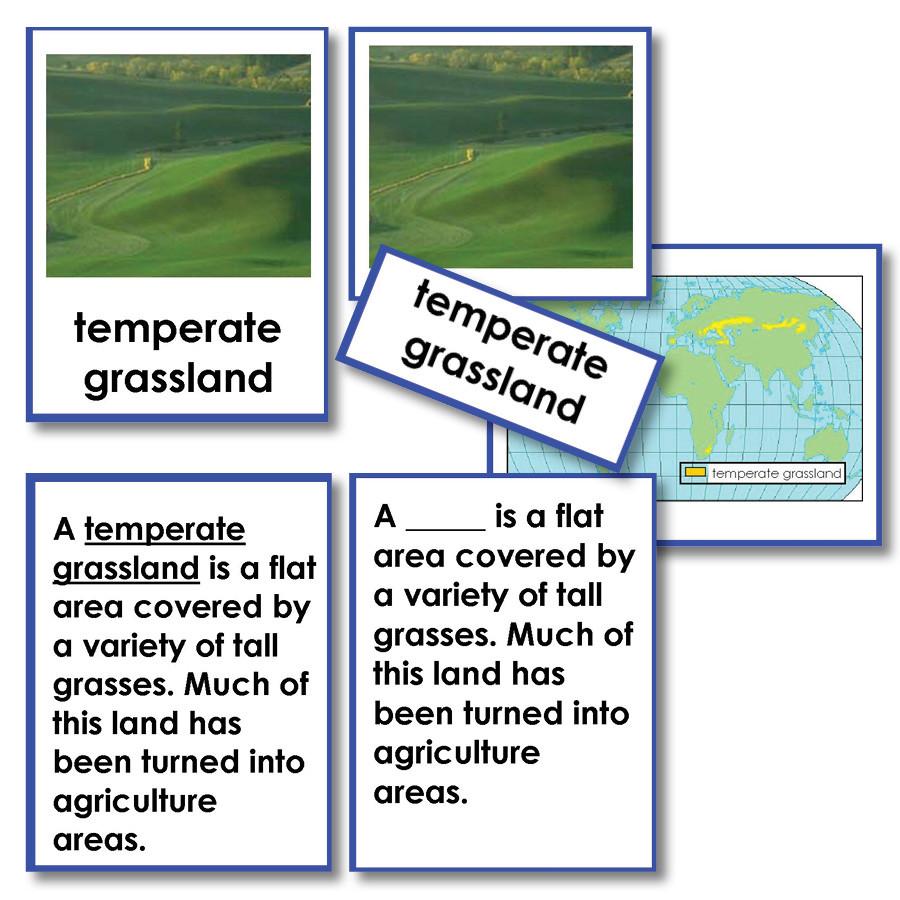 Biomes 3-Part Cards with Definitions | Montessori123 | Primary Student ...