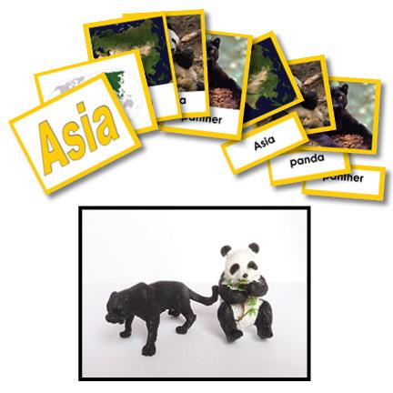 Geography 3-Part Cards with Objects for Asia | Montessori123 ...