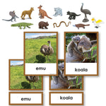 Geography 3-Part Cards | Objects for Australia/Oceania | Montessori123 ...