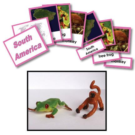 Geography 3-Part Cards with Objects for South America | Montessori123 ...
