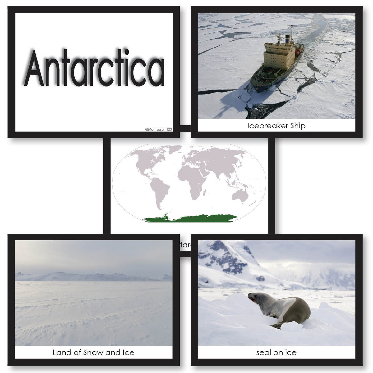 Image Folder of the Continent Antarctica | Montessori123 | Primary ...