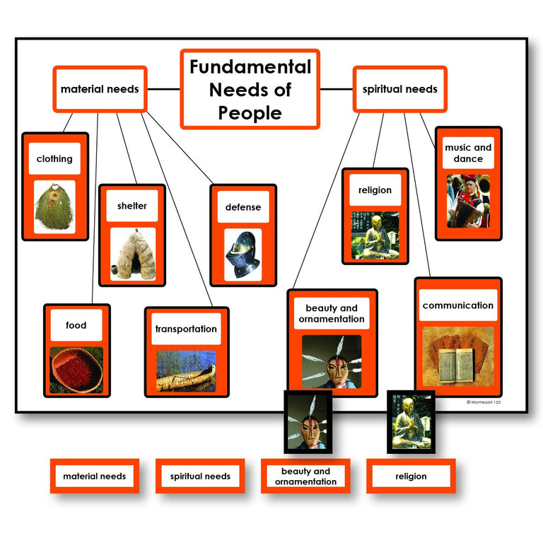 Fundamental Needs | Montessori123 | Learning Cards — Montessori 123