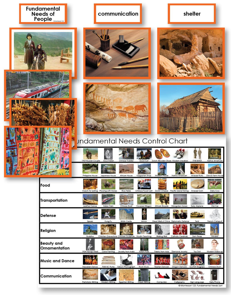 Fundamental Needs | Montessori123 | Learning Cards — Montessori 123