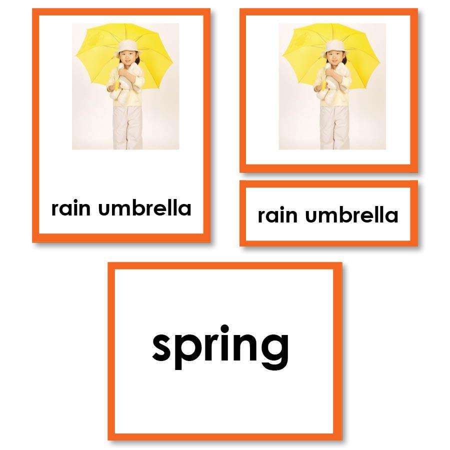 Seasons and Activities 3-Part Sorting Cards | Montessori123 | Primary ...