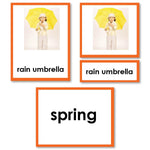 Seasons and Activities 3-Part Sorting Cards | Montessori123 | Primary ...