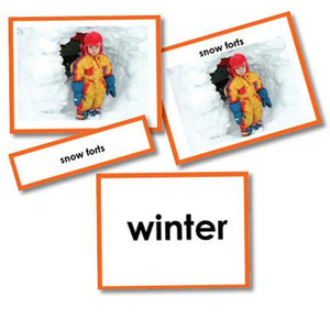 Seasons and Activities 3-Part Sorting Cards | Montessori123 | Primary ...