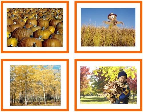 Seasons and Activities Sorting Cards | Montessori123 | Primary ...