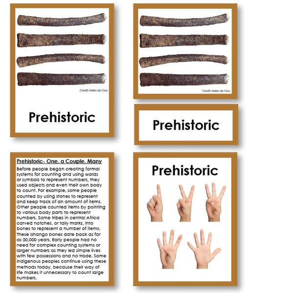 Montessori Materials | Montessori Cards - Montessori123 — Montessori 123