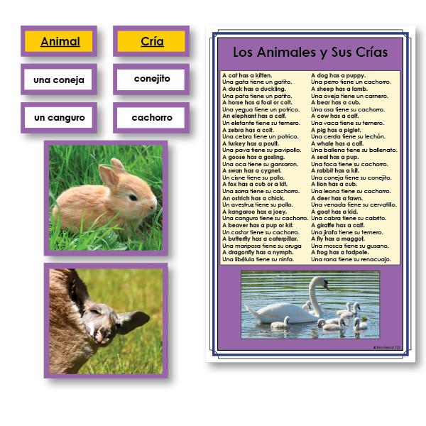 Spanish Animals & Their Babies Vocabulary Sorting Cards | Montessori123 ...