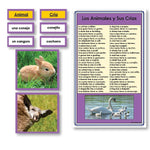 Spanish Animals & Their Babies Vocabulary Sorting Cards | Montessori123 ...