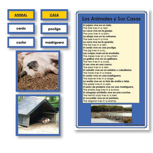 Spanish Animals & Their Homes Vocabulary Sorting Cards | Montessori123 ...