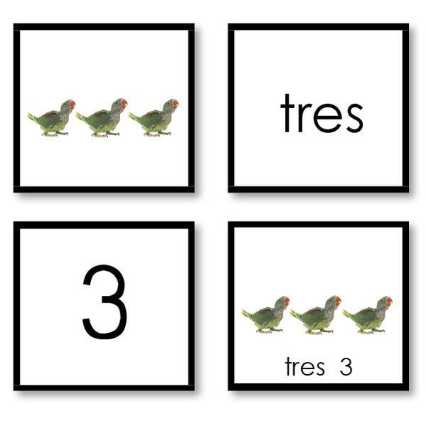 Spanish Montessori Materials | Montessori123 | Learning Cards ...