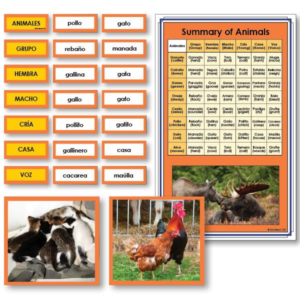 Spanish Summary of Animals Vocabulary Sorting Cards | Montessori123 ...