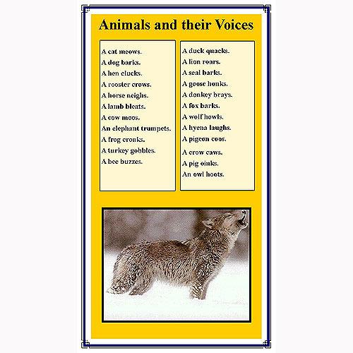 Animal Vocabulary Control Charts — Montessori 123