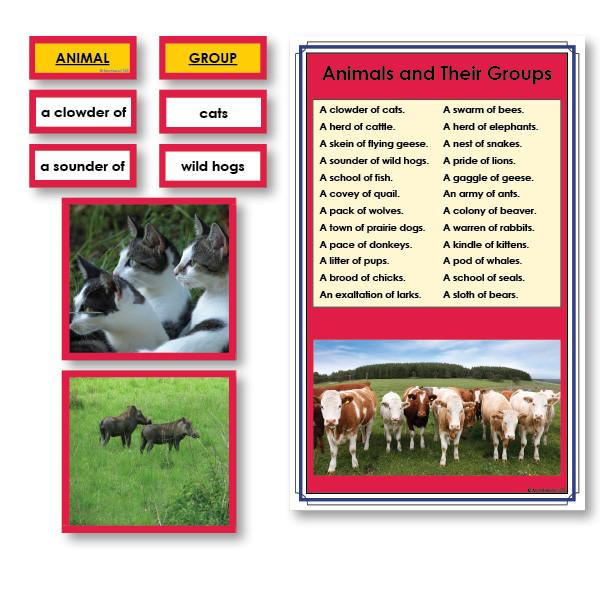 Animals and Their Groups Vocabulary Sorting Cards | Montessori123 ...