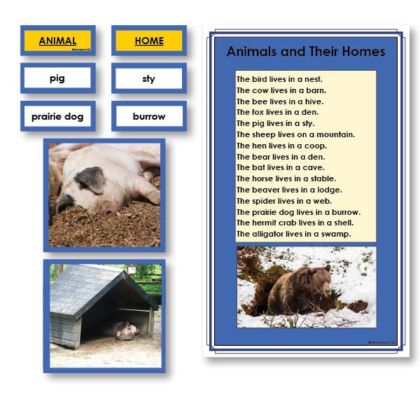 Animals and Their Homes Vocabulary Sorting Cards | Montessori123 ...