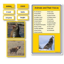 Animals and Their Voices Vocabulary Sorting Cards | Montessori123 ...