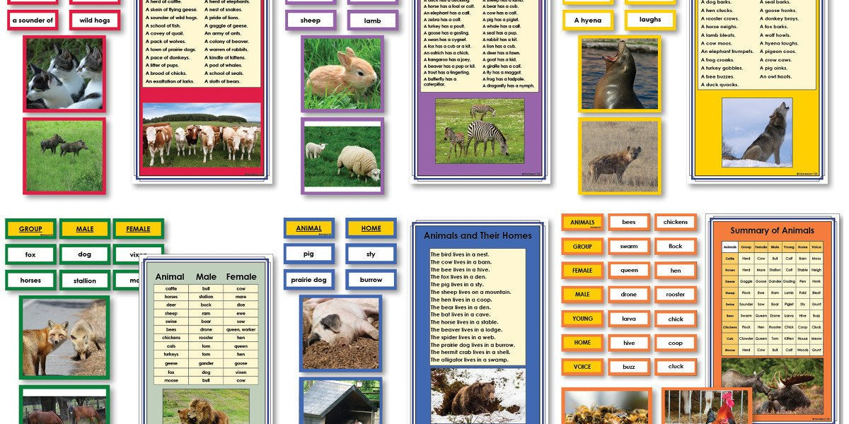 Complete Collection of Animal Vocabulary Sorting Cards | Montessori123 ...