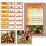 Animals Vocabulary Sorting Cards with Photographs | Montessori123 ...
