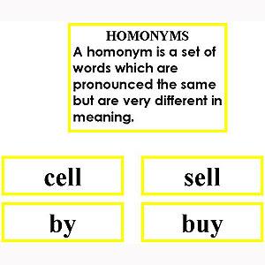 Word Study: Homonyms - Matching Cards | Montessori123 — Montessori 123
