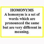 Word Study: Homonyms - Puzzle Train | Montessori123 | Lower Elementary ...