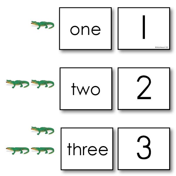 Counting Set for Early Math - Cards and Counters | Montessori123 ...