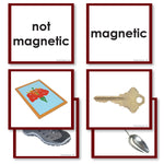 Magnetic or Non-magnetic Photograph Sorting Cards | Montessori123 ...