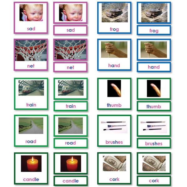 Phonetic Language Reading 3-Part Cards with Photos | Montessori123 ...