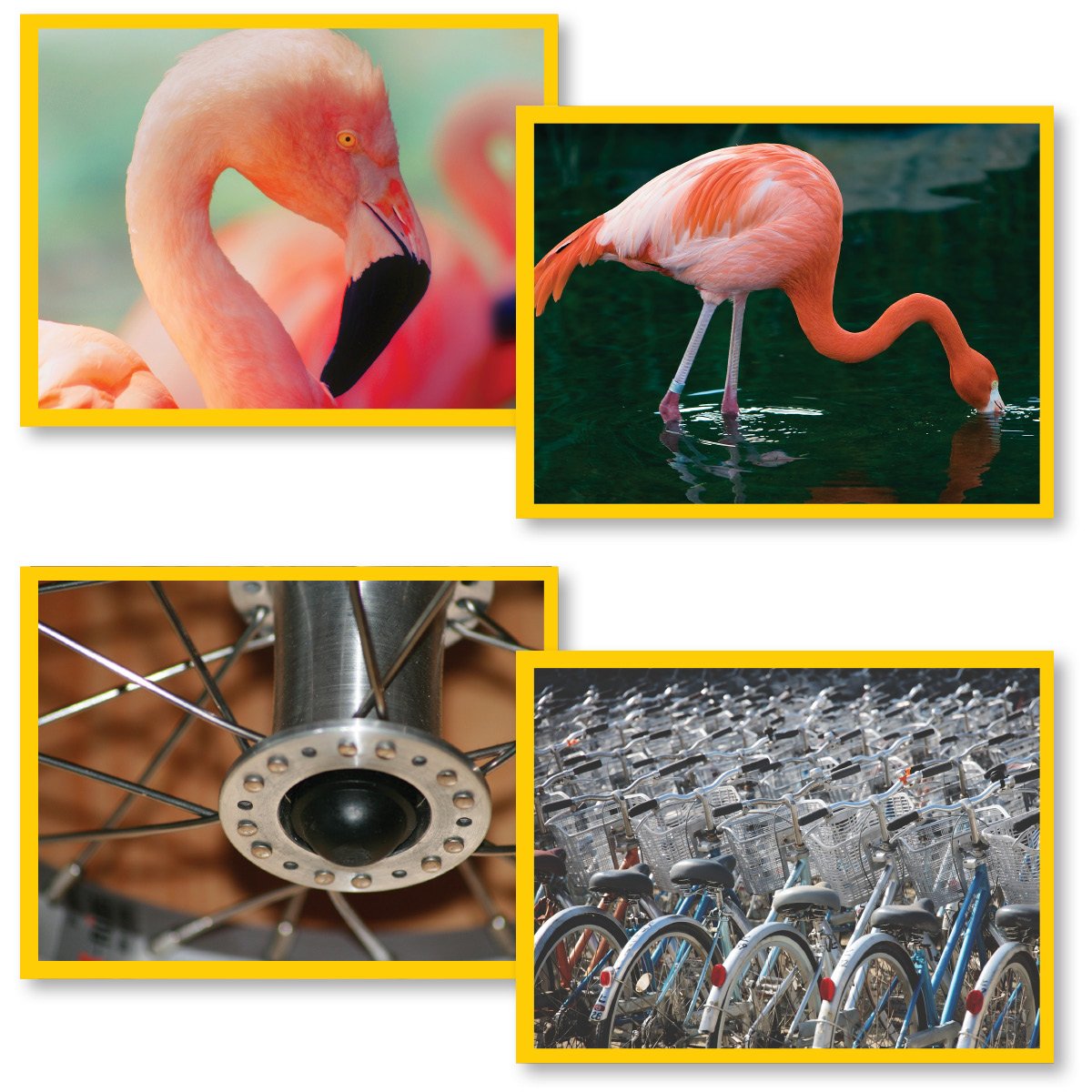 Whole to Part Picture Matching Cards | Montessori123 | Primary ...