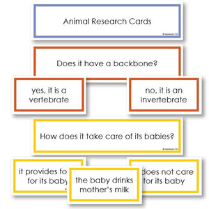 Animal Research Classification Questions Level 1 | Montessori123 ...