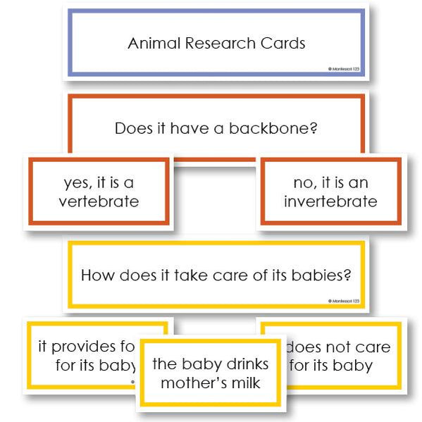 Animal Classification/ Identification | Montessori123 | Learning Cards ...