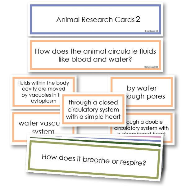 Animal Classification/ Identification | Montessori123 | Learning Cards ...