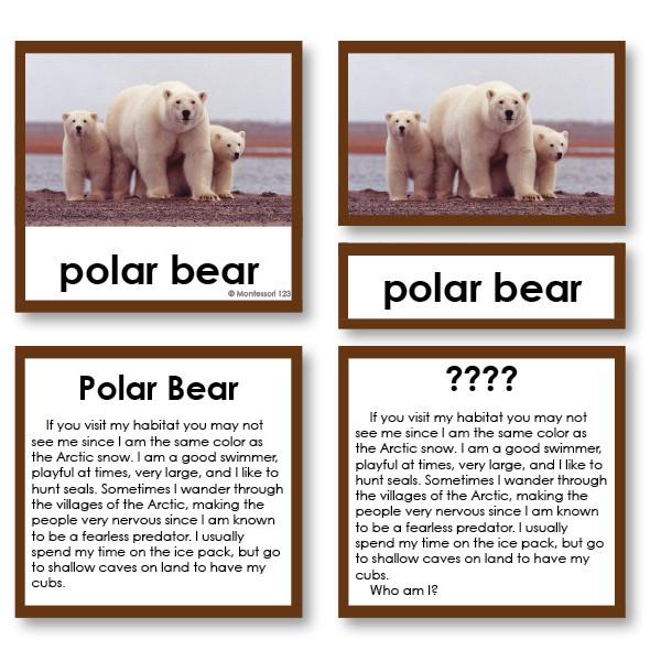 Zoology "Who Am I?" 3-Part Cards - Arctic Mammals | Montessori123 ...