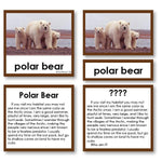 Zoology "Who Am I?" 3-Part Cards - Arctic Mammals | Montessori123 ...