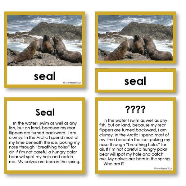 Animal Classification/ Identification | Montessori123 | Learning Cards ...