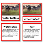 Zoology "Who Am I?" 3-Part Cards | Mammals Set 2 | Montessori123 ...