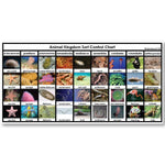 Animal Kingdom Sorting Cards | Montessori123 | Lower Elementary ...