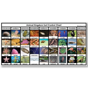 Animal Kingdom Sorting Cards | Montessori123 | Lower Elementary ...