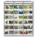 Herbivore, Carnivore or Omnivore Sorting Cards | Montessori123 ...
