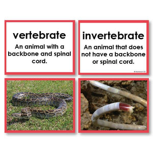 Invertebrate or Vertebrate Sorting Cards | Montessori123 — Montessori 123