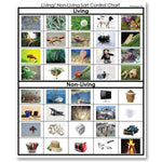 Living or Non-Living Sorting Cards | Montessori123 | Primary ...