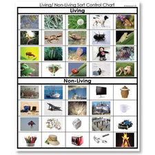 Living or Non-Living Sorting Cards | Montessori123 | Primary ...