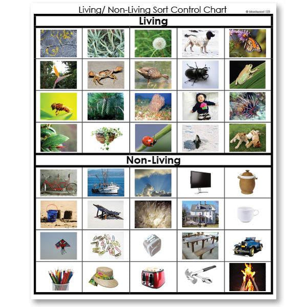 Primary | Montessori123 | Learning Cards — Montessori 123