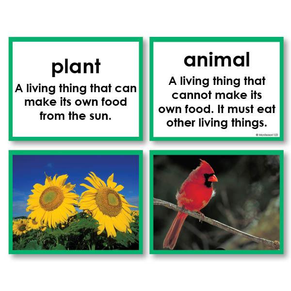 Plant or Animal Sorting Cards | Montessori123 | Primary — Montessori 123
