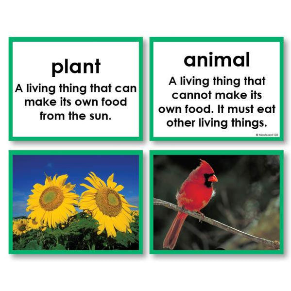 Zoology Montessori Materials | Montessori123 | Learning Cards ...